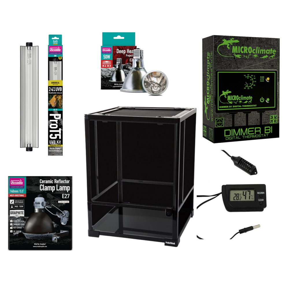 Tree Frog Starter Kit - Gold (45x45x60cm) – Medusa Exotics